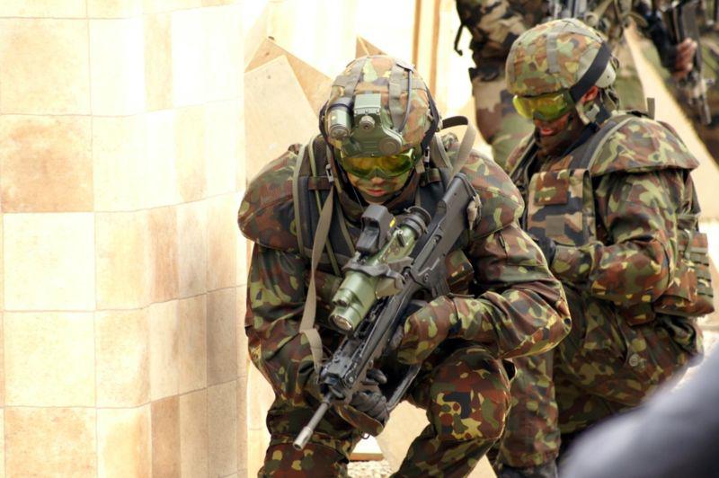 FAMAS_FELIN_H.jpg - Member Albums - Sturmgewehr.com Forums