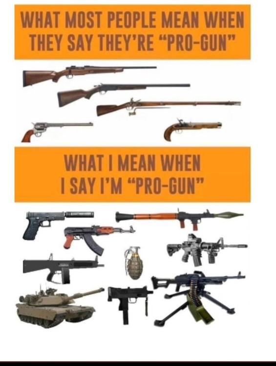 What I Mean When I Say "I'm Pro-Gun" - General Firearms Discussion ...
