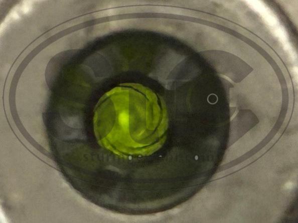 WTS: Transferable Springfield M1A - FORM 3 - E-File Ready- SPF - NFA ...